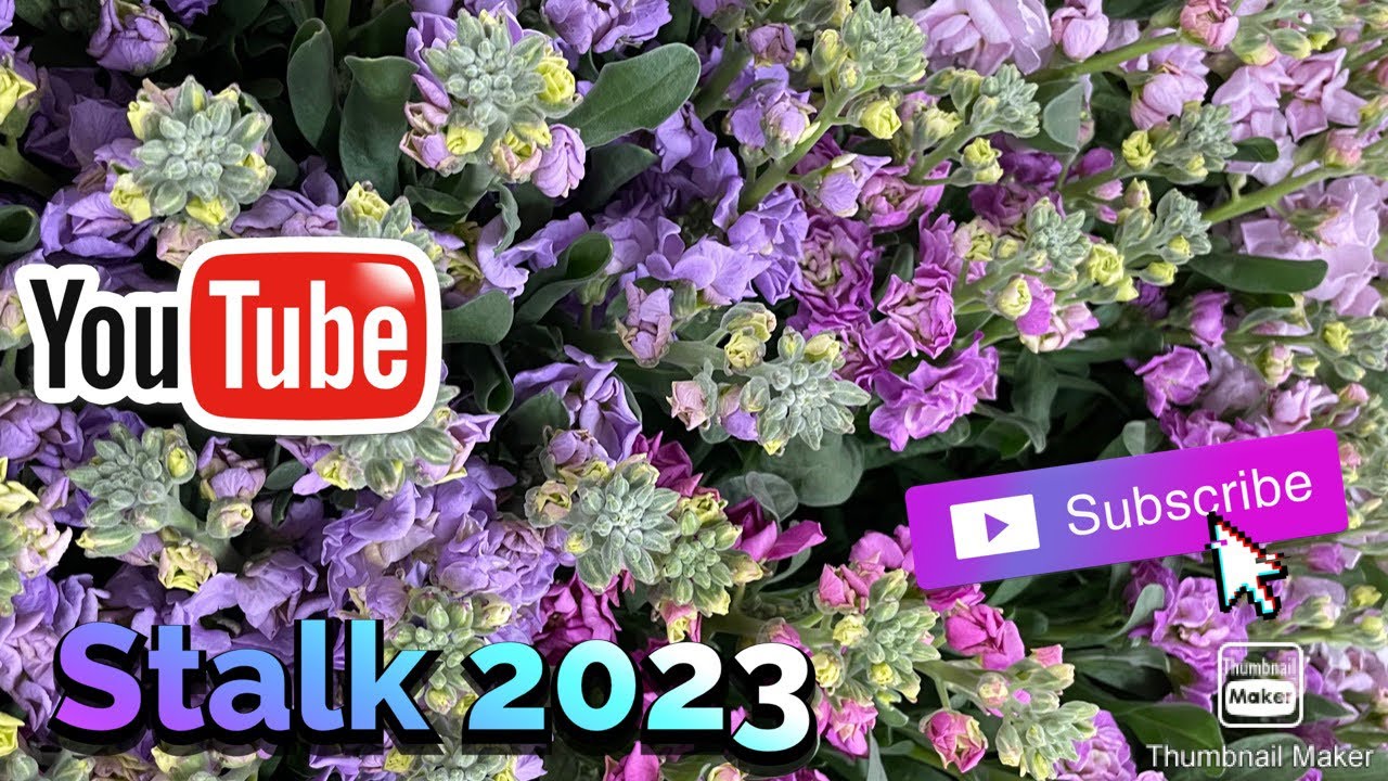 Stalk 2023/Spring flowers - YouTube