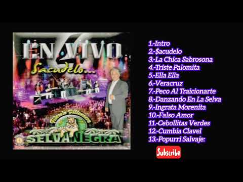 GRUPO SELVA NEGRA ⚫ALBUM COMPLETO⚫ - YouTube