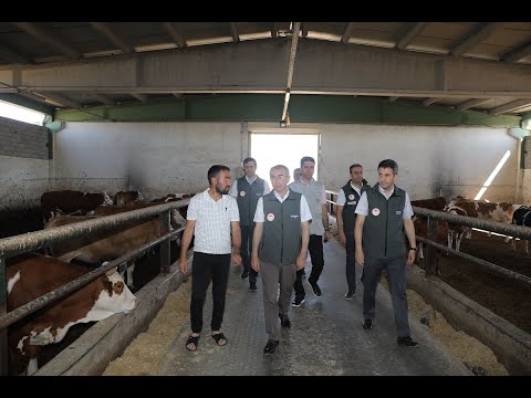 Tarım ve Orman İl Müdüründen Kurban Kesimine İlişkin Açıklama