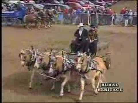 Driving 4 Abreast Horses at Fryeburg Fair - YouTube