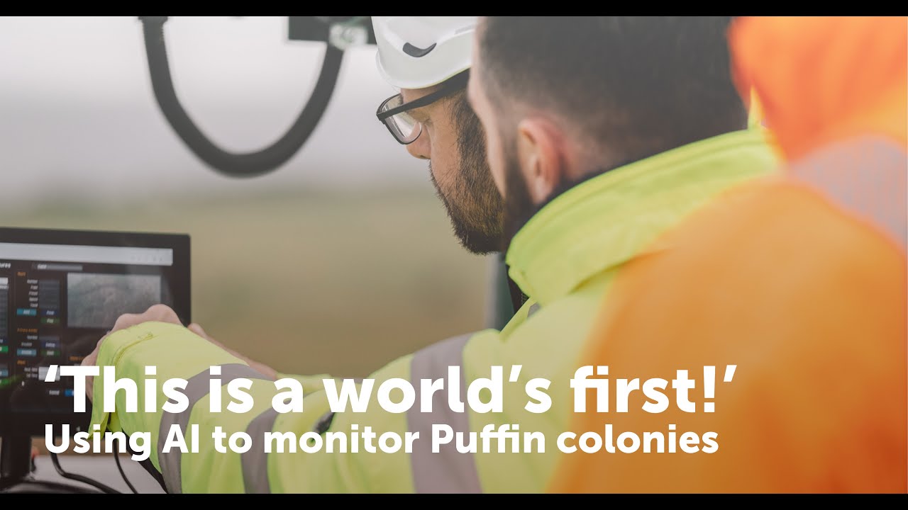 Discover How AI is Helping SSE Renewables Monitor Puffin Colonies - YouTube
