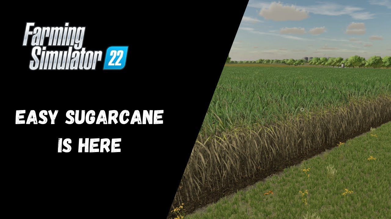 Easy Sugarcane Is Here - Farming Simulator 22 - YouTube