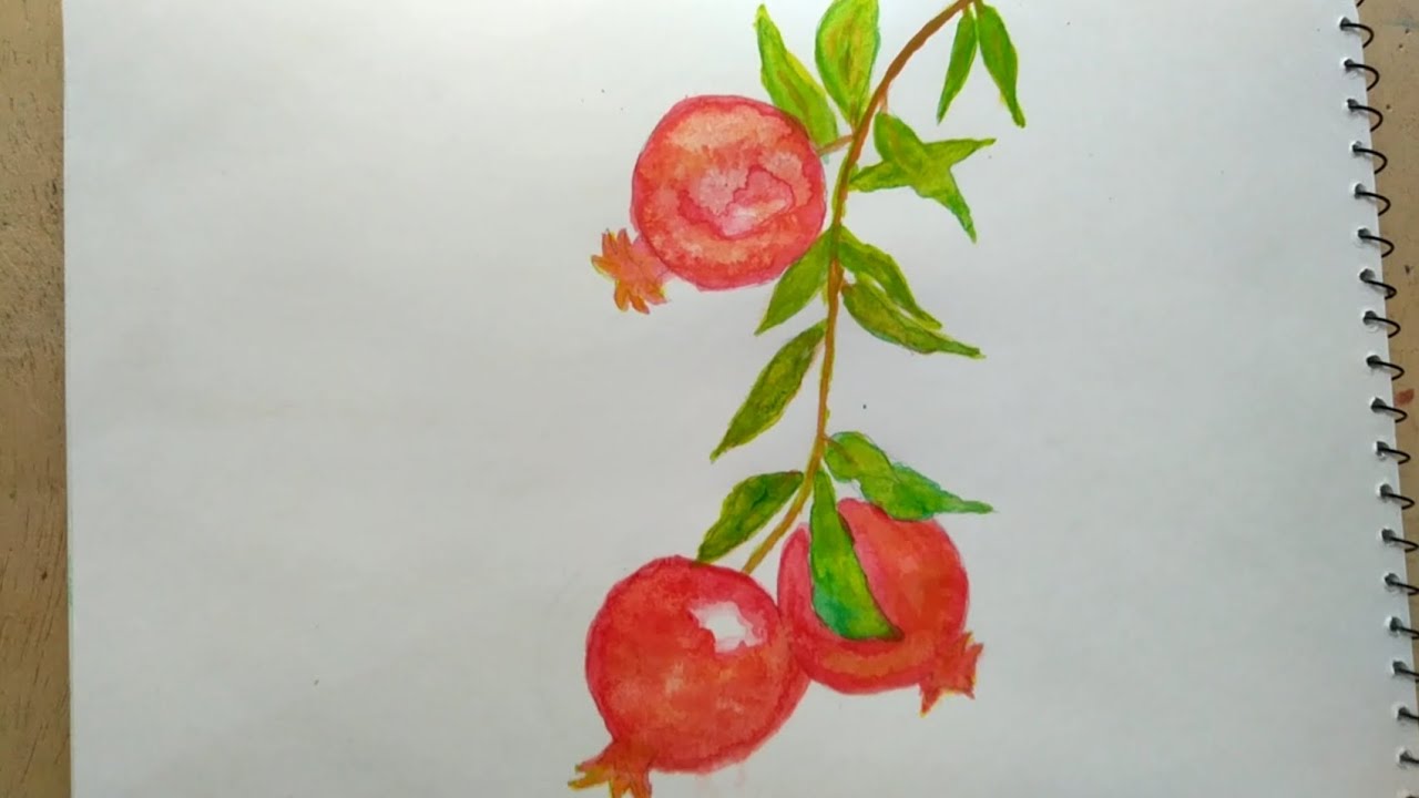 How to draw pomegranate|draw anar|anar drawing|pomegranate drawing ...