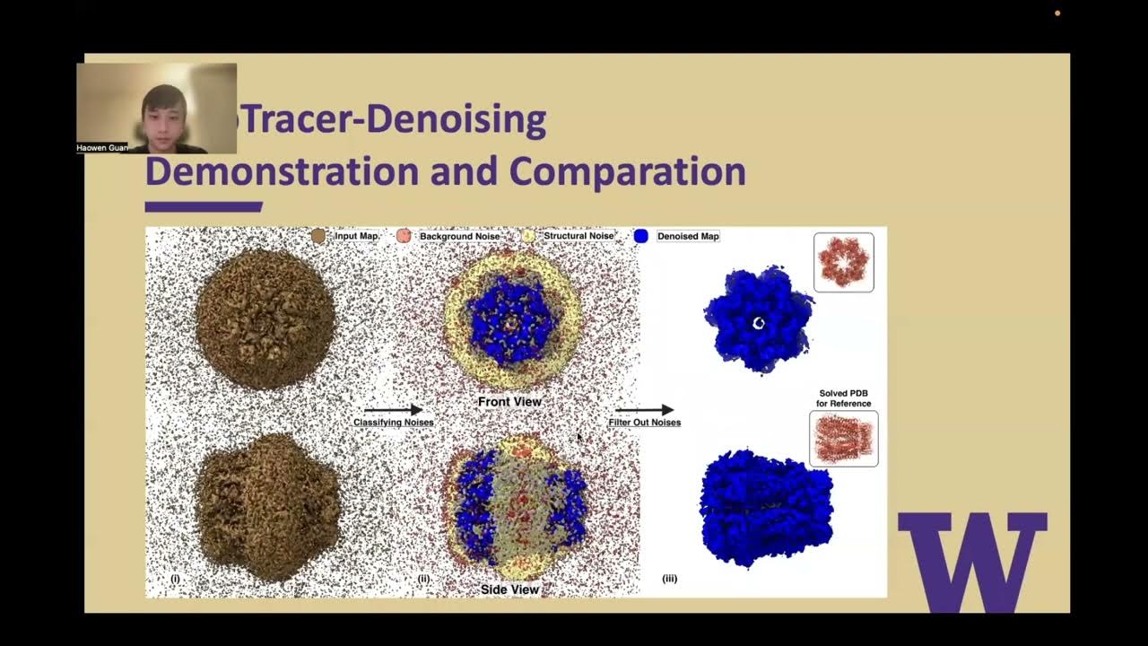 DeepTracer-Denoising: Deep Learning for 3D Electron Density Map ...