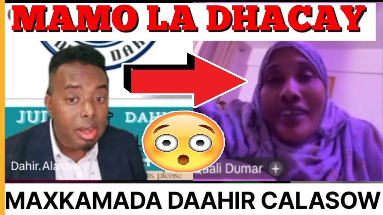 MAXKAMADA DAAHIR// 😭 SUBXANALLAH MAMO LAGA DHACAY LACAG ... KII ...