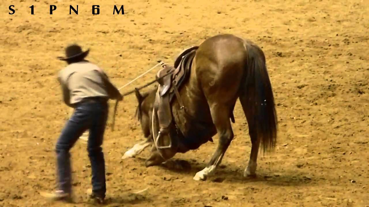 Craig Cameron - YouTube