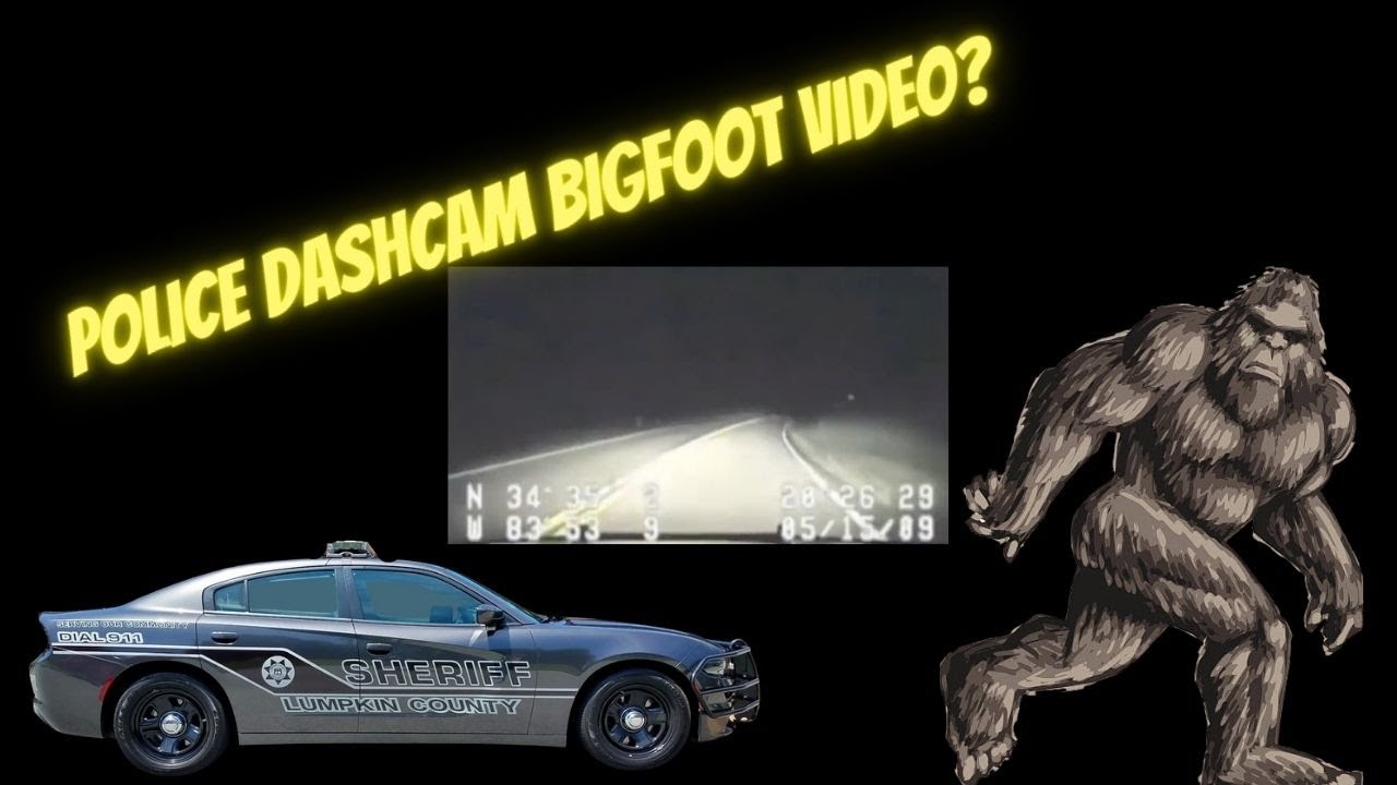 Bigfoot Dashcam Video Police Video does it show Bigfoot | Squatch-D TV