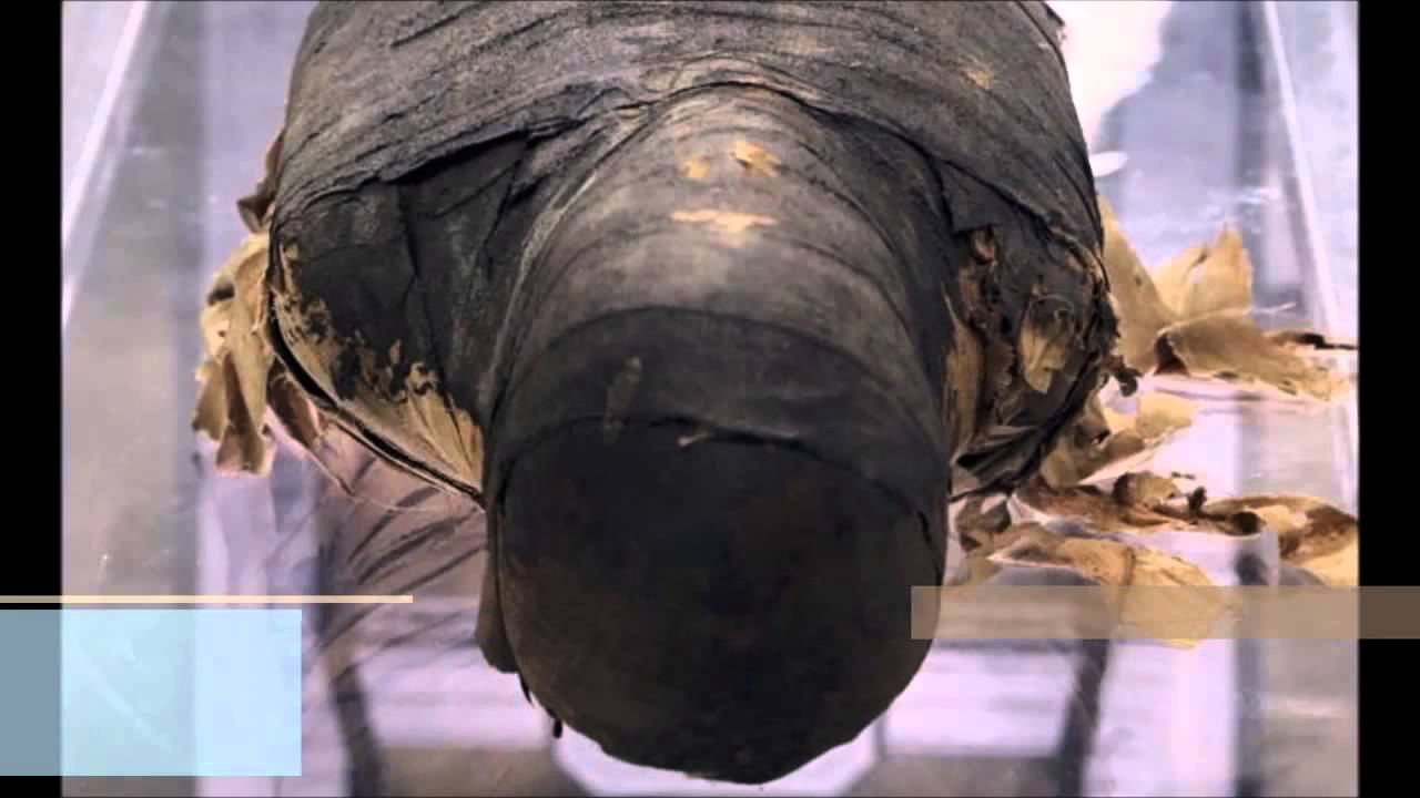 Scientists Open Egyptian Mummy Coffin in Chicago - YouTube