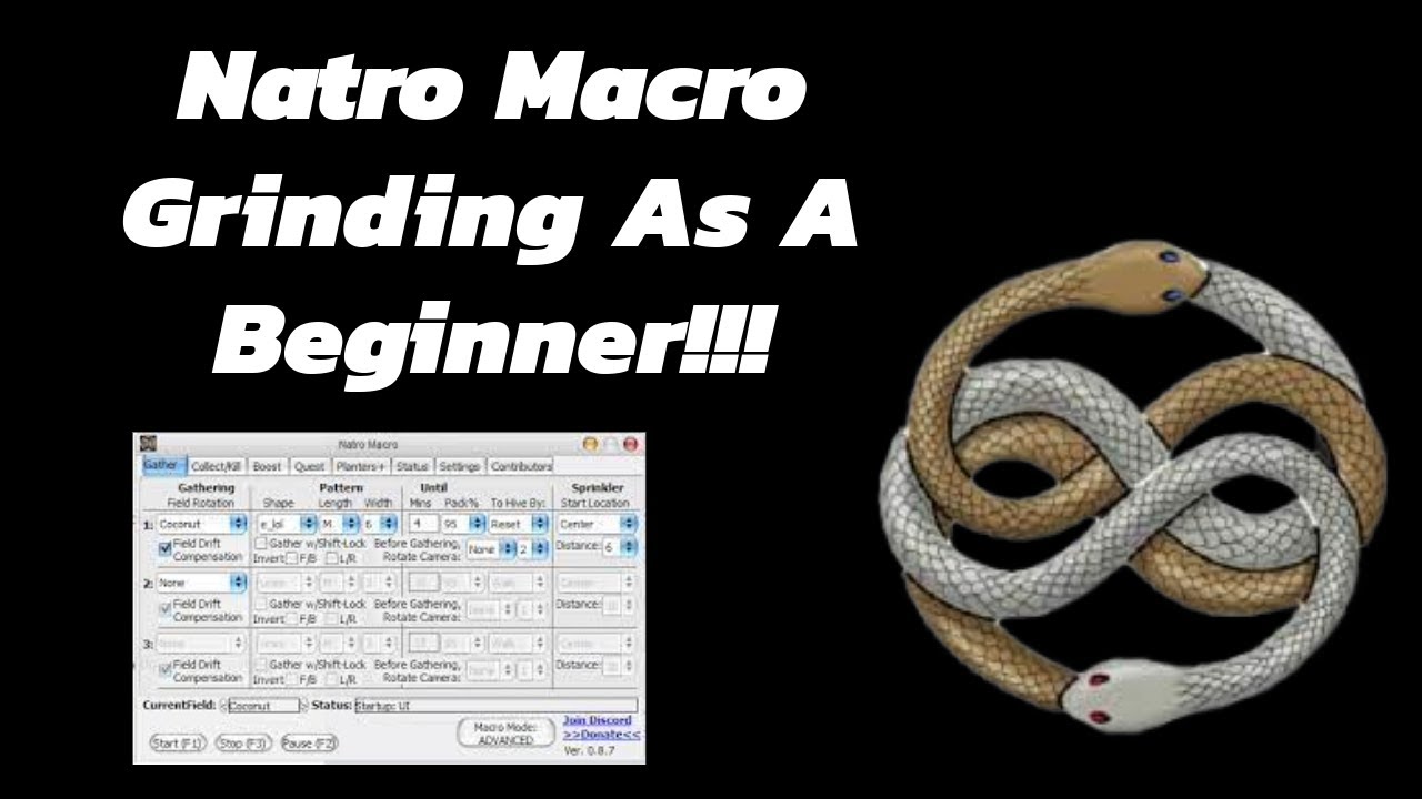 Natro Macro Grinding As A Beginner - YouTube