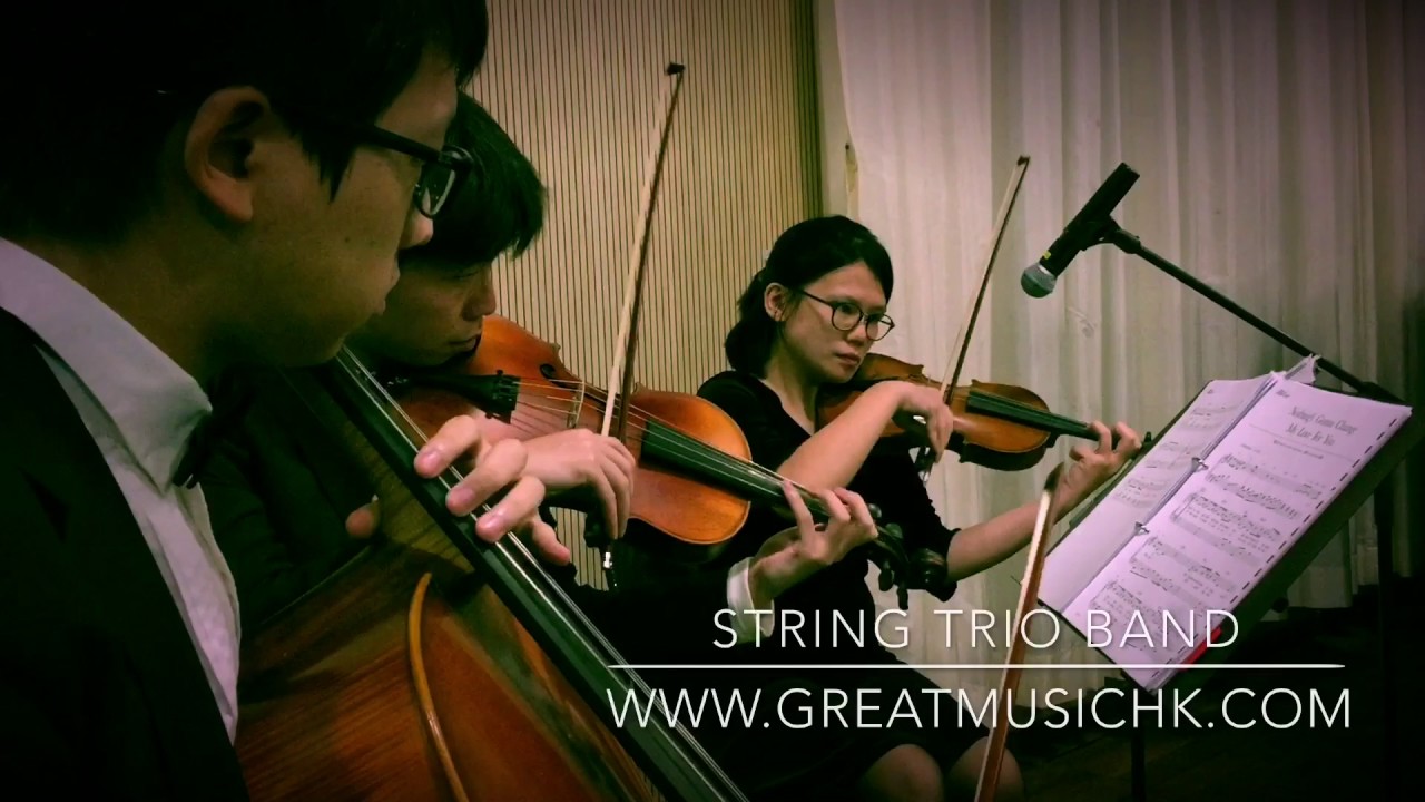 String Trio Band Nothing gonna change my love for you - YouTube