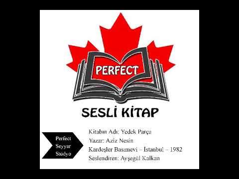 Perfect Sesli Kitap  Aziz Nesin  Yedek Parca  Medeniyetin yedek parcasi