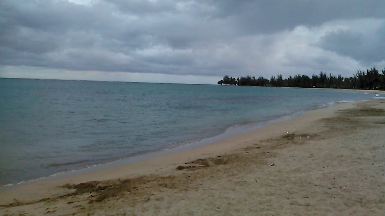 Calico find Hidden Beach while in Puerto Rico - YouTube
