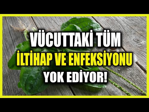 Günde 10 Yaprak Tüketerek 3 haftada Enfeksiyon ve İltihaptan Kurtulun!