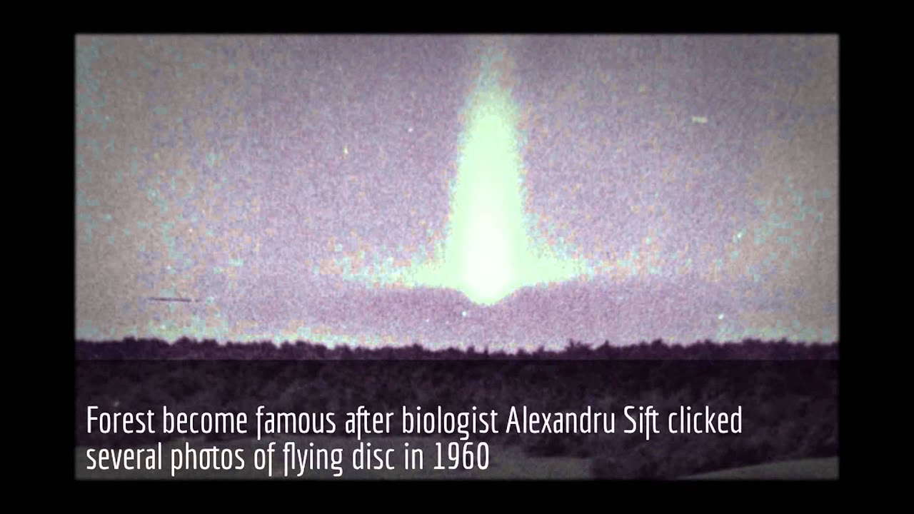 Hoia-Bacui Forest In Romania - Horror Documentary - YouTube