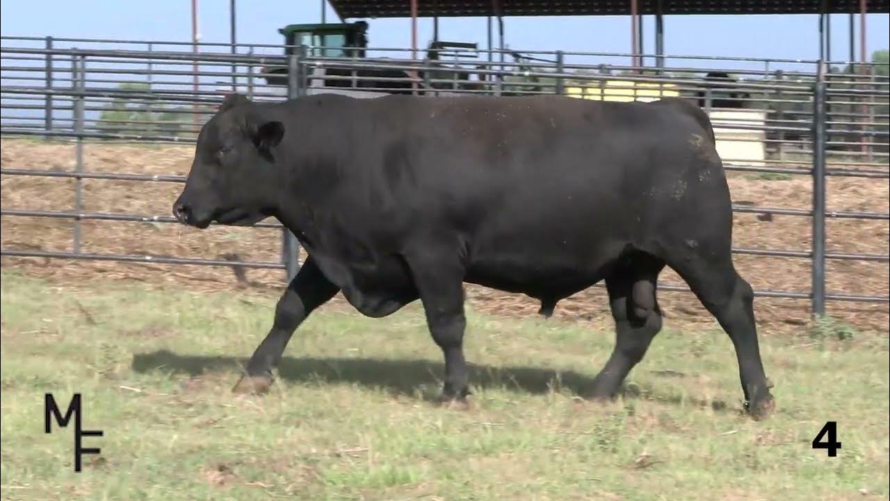 McCloud Farms Lot 4 - YouTube