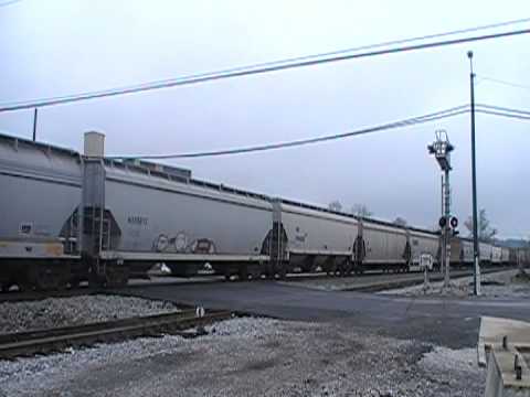 NS 8664 Leads NS 53Q at Hair - YouTube