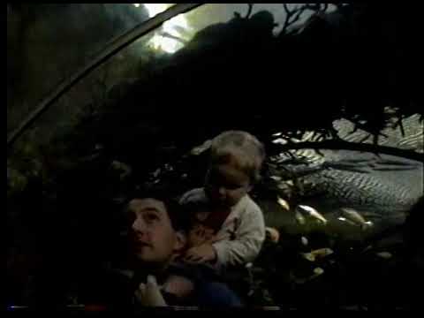 February 1995, then Spring break 2003, then back to February 17, 1995 ...