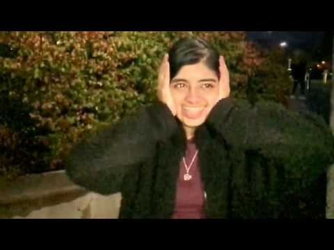 Physics 1A03 Lab 5: Neetu Rambharack and Parvathy Unnikrishnan - YouTube