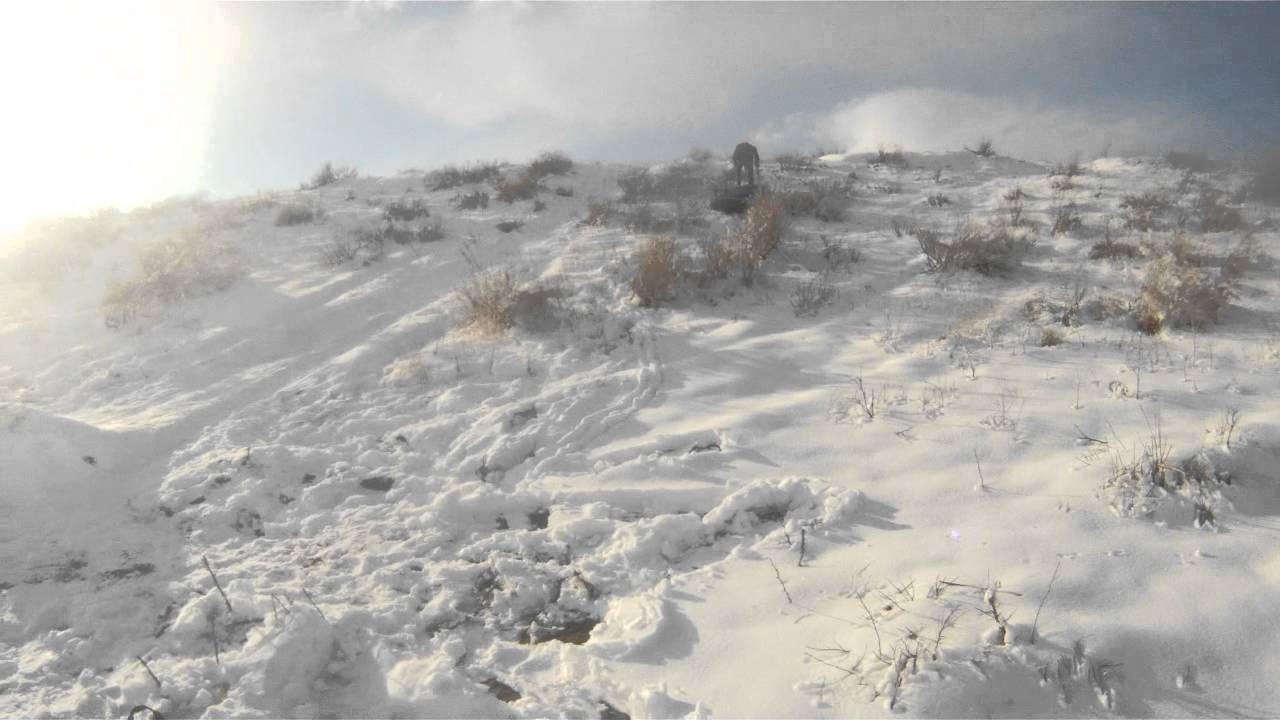 Snowboat Jumping! - YouTube