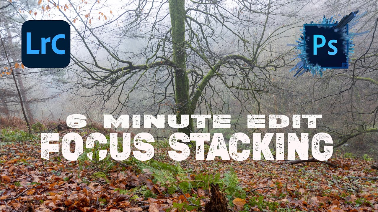 6 Minute Edit: Focus Stacking using Photoshop Auto Tools - YouTube