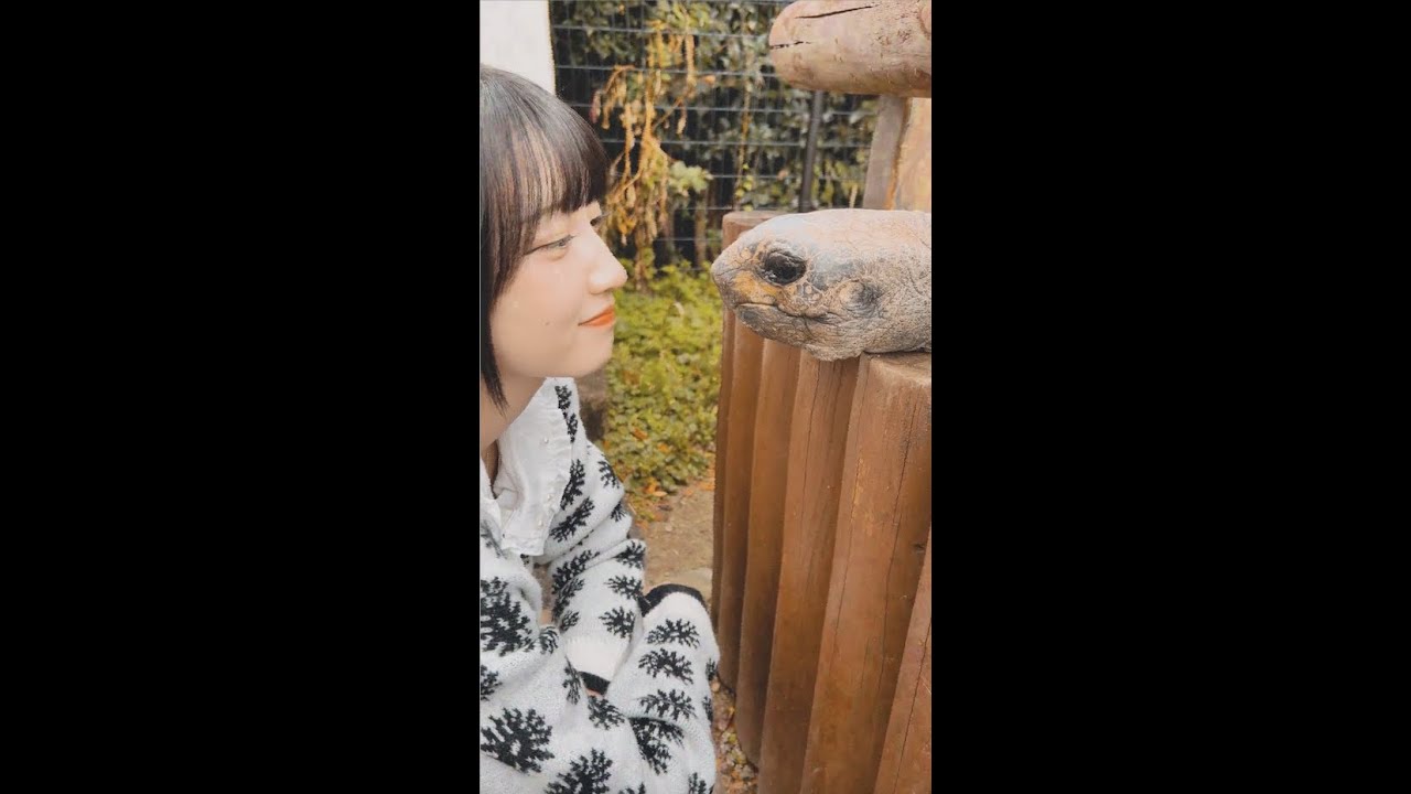 【IMAGE】situasion『RUPPLE』 - YouTube