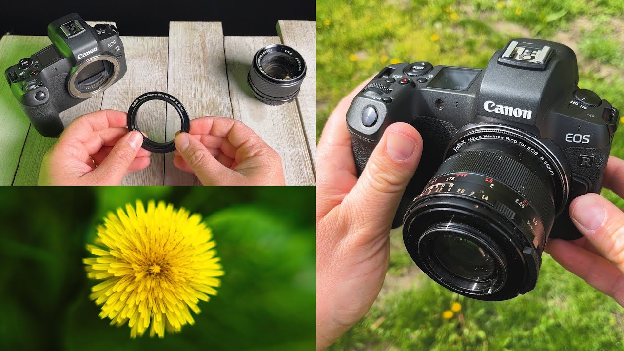 Turn Any Lens into a Macro Lens with Fotodiox Macro Reverse Rings # ...
