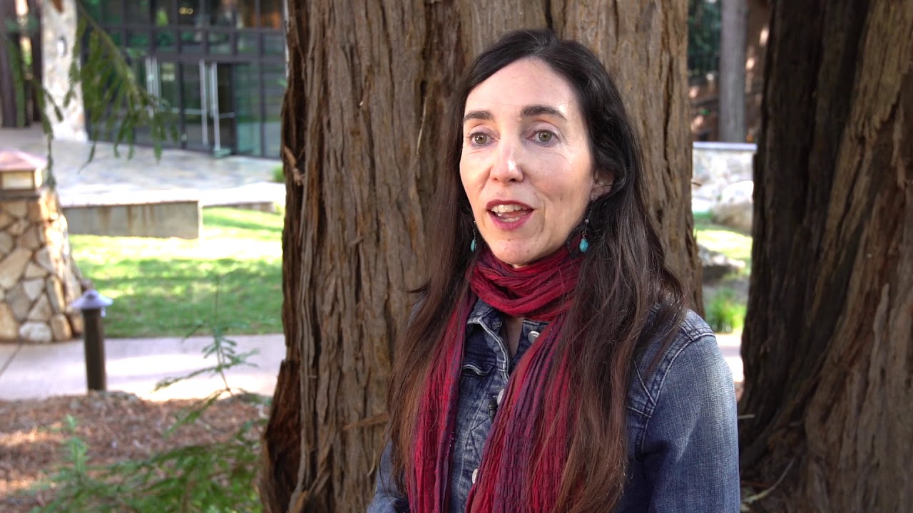 Deborah Eden Tull Book Talk (short) - YouTube