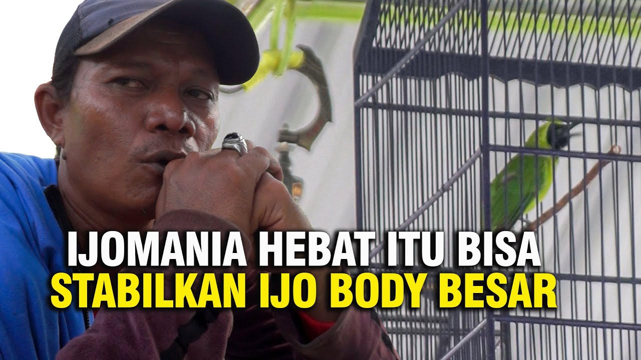 SHARING !!! IJO BODY BESAR MEWAH TAPI STABILNYA SUSAH - YouTube