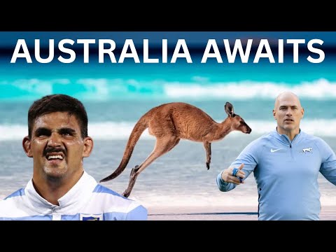 Los Pumas ON FIRE Wounded Wallabies Await - YouTube