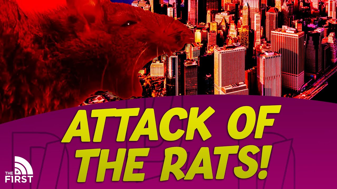 New York City Declares War On Rats | Dana Loesch - YouTube