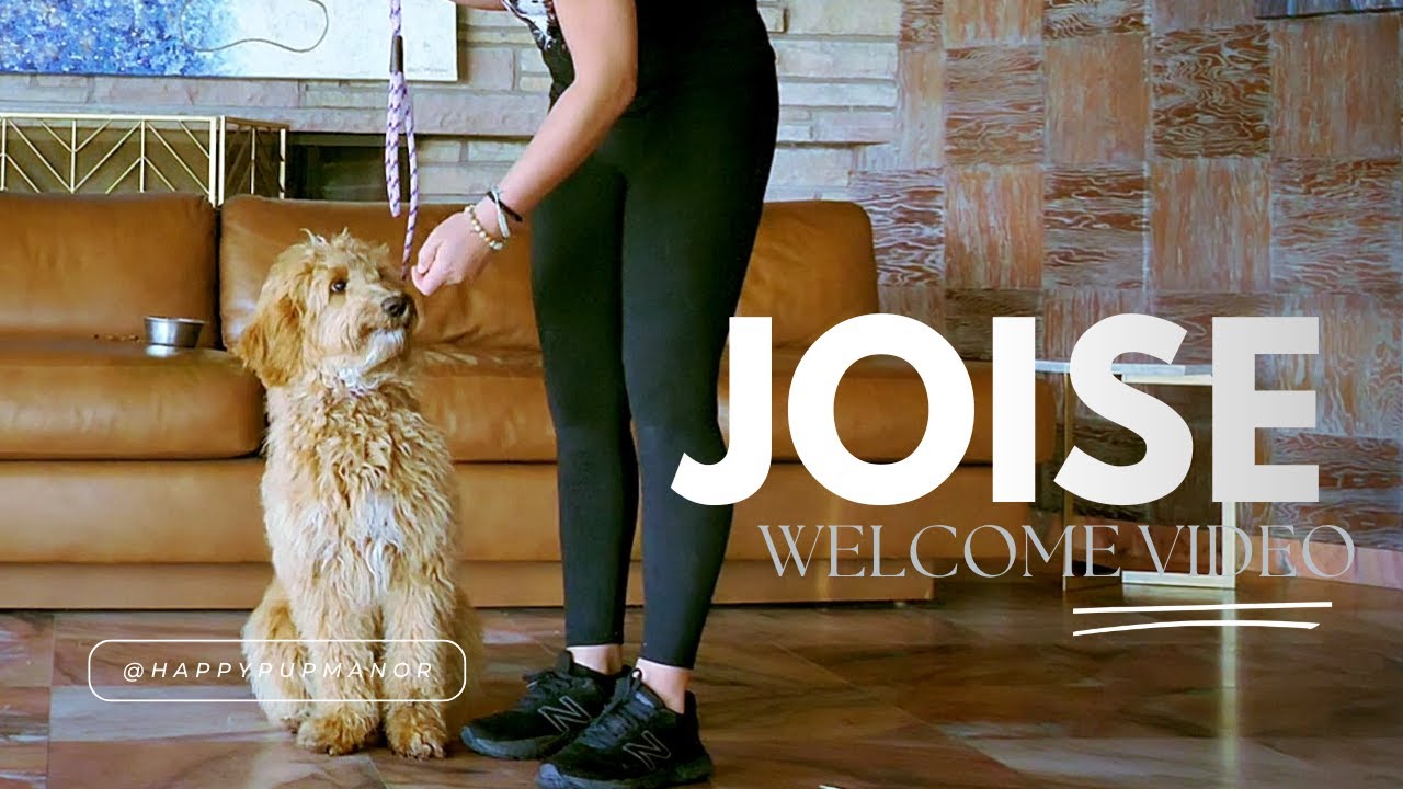 Welcome Josie! - YouTube