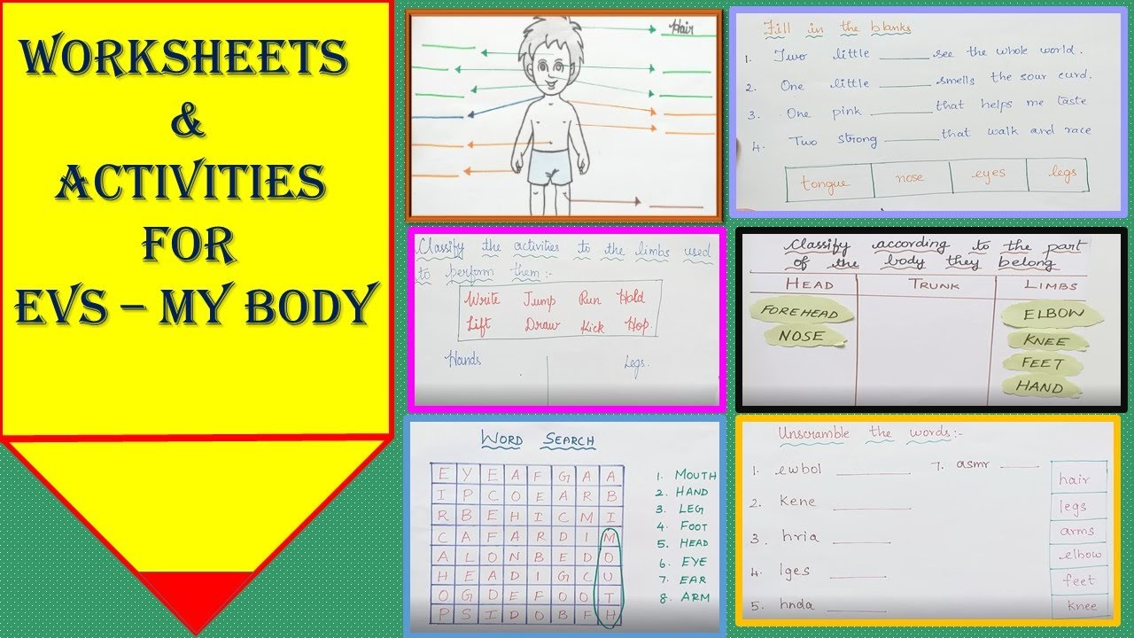 EVS - My Body - Worksheets & activities for My body lesson - YouTube