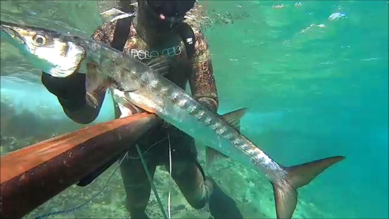spearfishing ΛΟΥΤΣΟΣ 1/4/15 by leon - YouTube