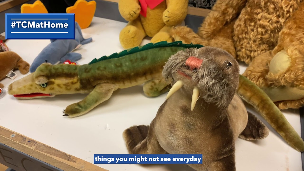 Collections: How to Start a Collection | Museum at Home - YouTube