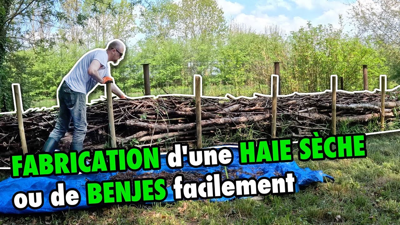 Fabriquer une Haie Sèche (Haie de Benjes) Facilement | Tuto Écologique ...