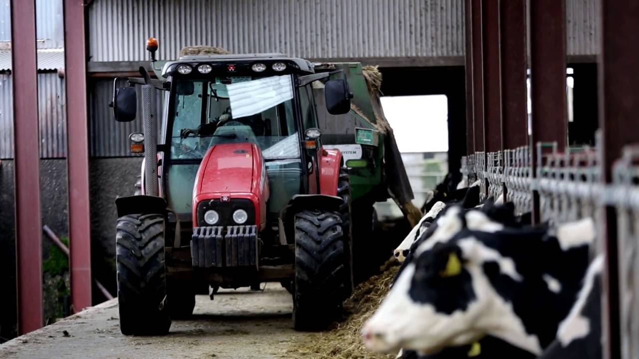 Farm accident survivor story by Wallace Gregg - YouTube