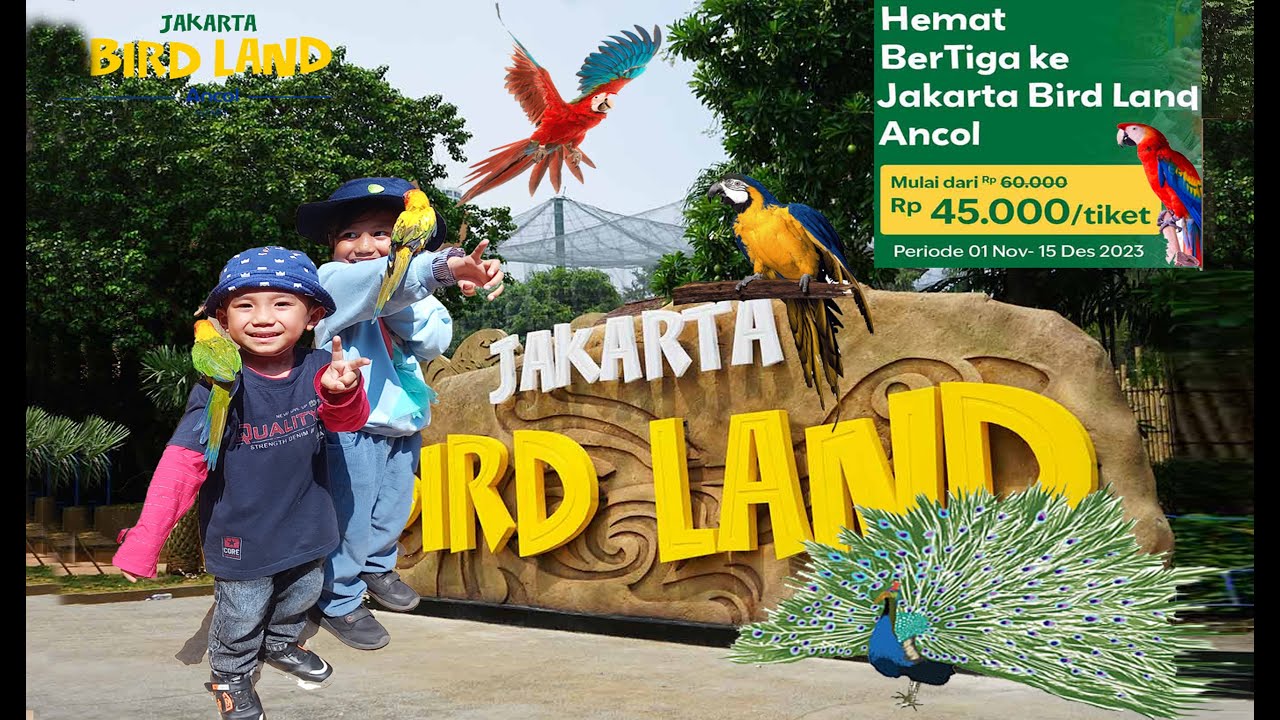 JAKARTA BIRD LAND ANCOL 2023 | JAKARTA BIRD LAND ANCOL 2023 | Part I ...