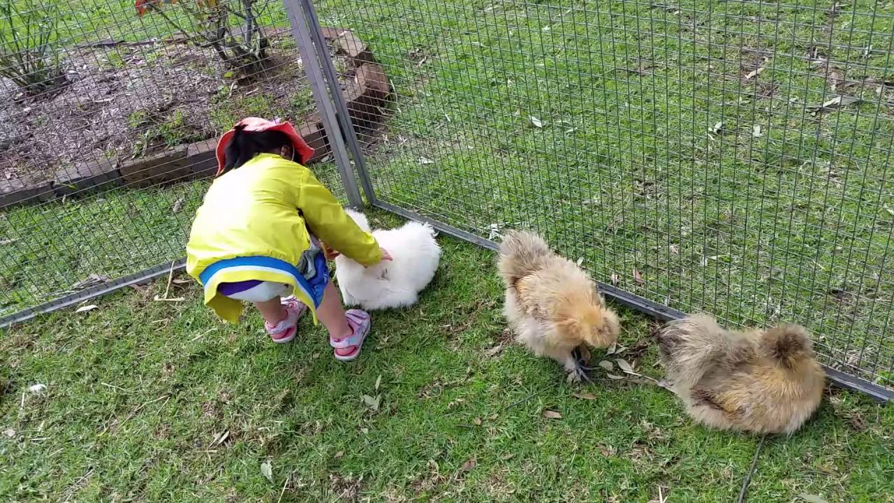 20160910 133928 204959 10092016 - YouTube