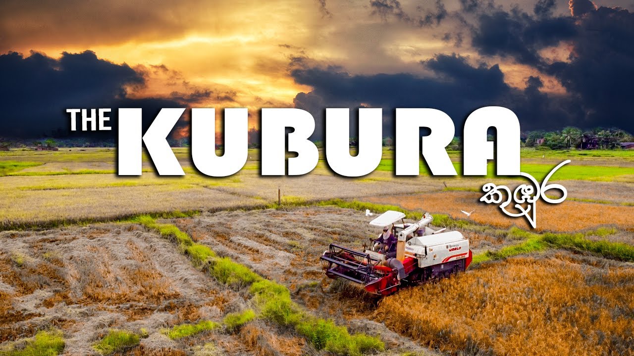 The KUBURA | Cinematic Travel Vlog | Paddy Cultivation In Sri Lanka ...