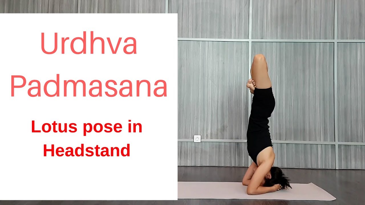Lotus yoga pose in headstand - YouTube