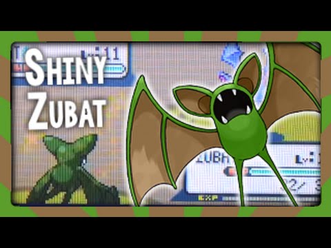 Shiny Zubat after 506 REs on Sapphire + Evolution! - YouTube