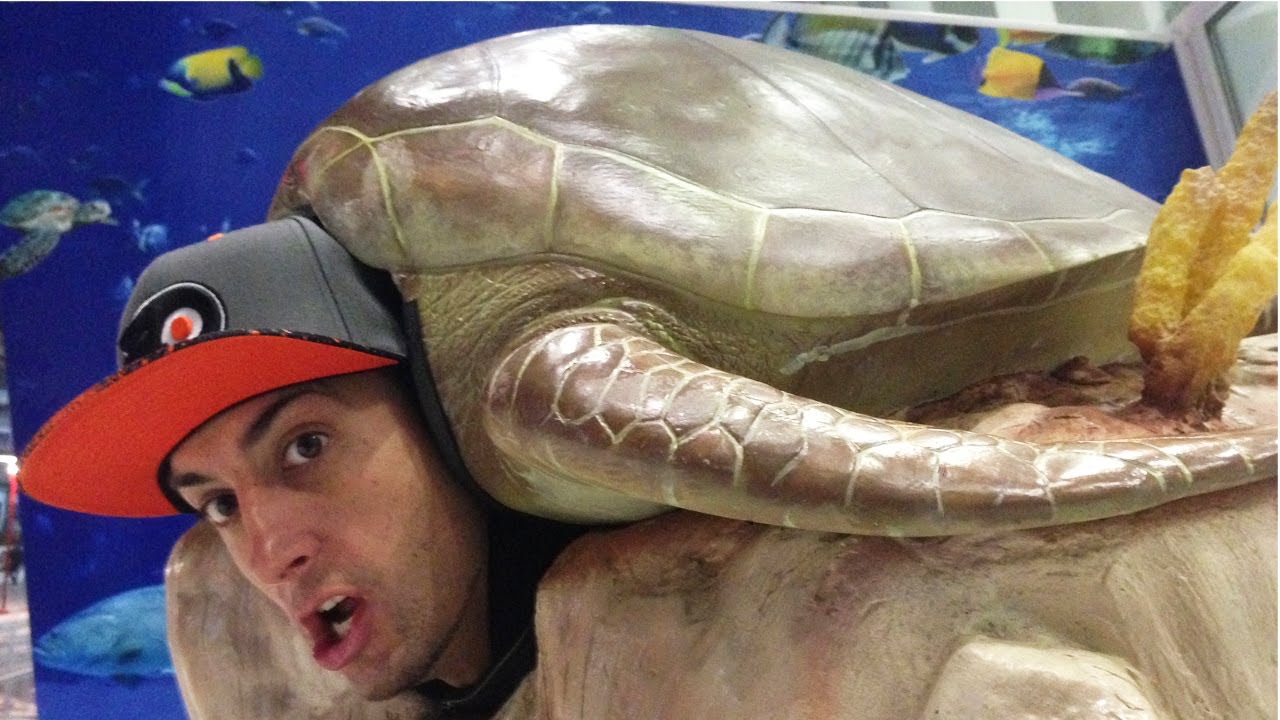 TURTLE MAN - YouTube