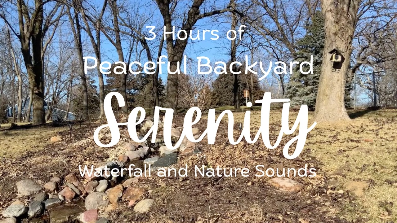 3 Hours of Backyard Serenity - Waterfall and Nature Sounds - YouTube