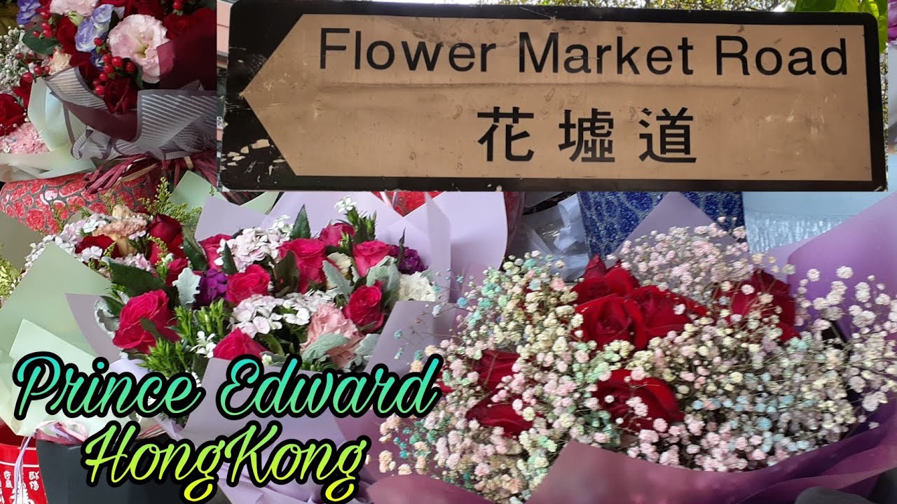 Prince Edward Flower Market road Hongkong | khai explores - YouTube