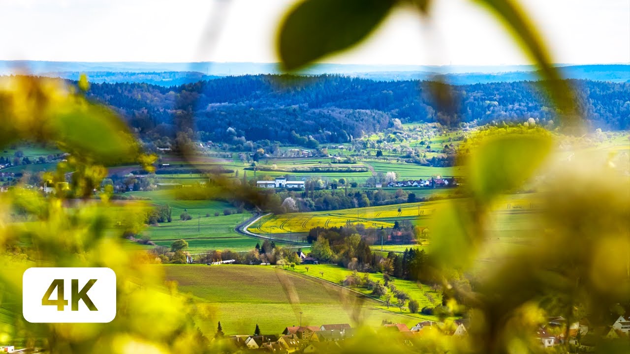 Calming Virtual Hike in the Hills of Southern Germany | No Music ...
