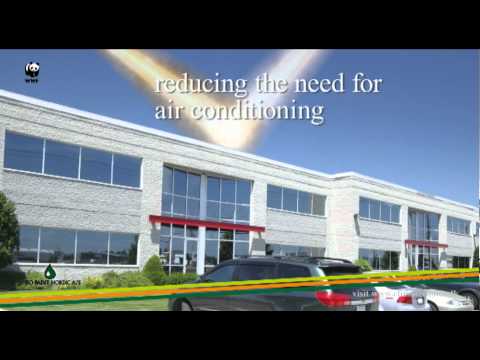 climate cooler catalyst - YouTube