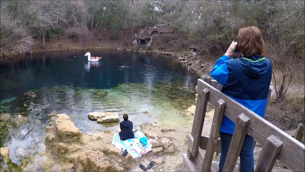 Are Dogs Allowed At Royal Springs