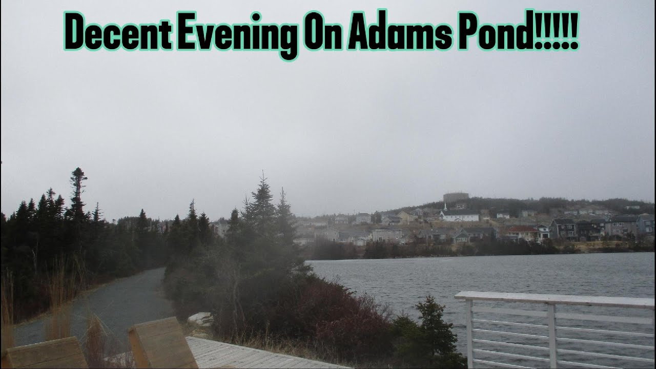 Vlog #830 - My First Walk On The Adams Pond Trail In 2025!!!!!! - YouTube