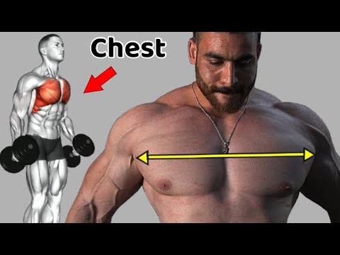 10 Best Effective Exercises To Build A Perfect Chest - YouTube
