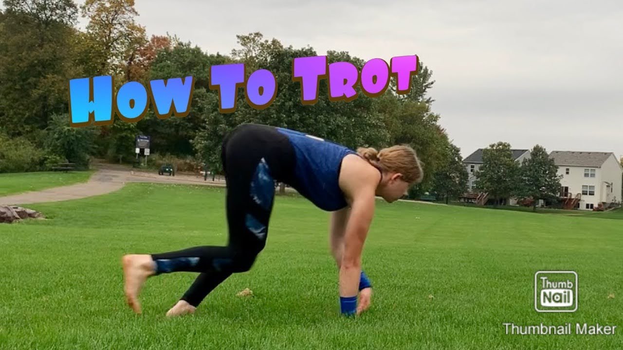 How To Trot - YouTube
